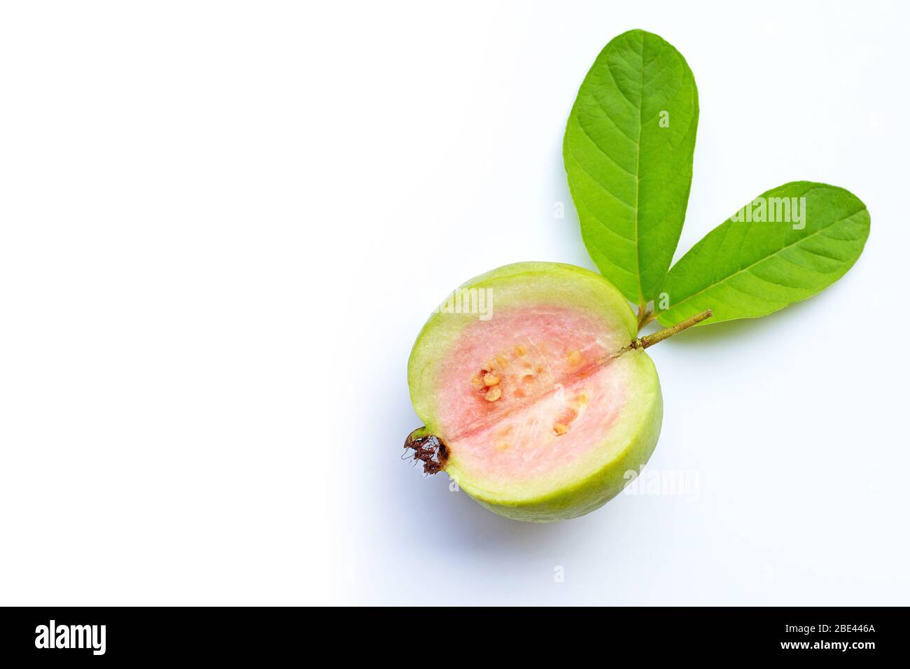 Top view of fresh ripe guava with leaf on white background. Copy space ...