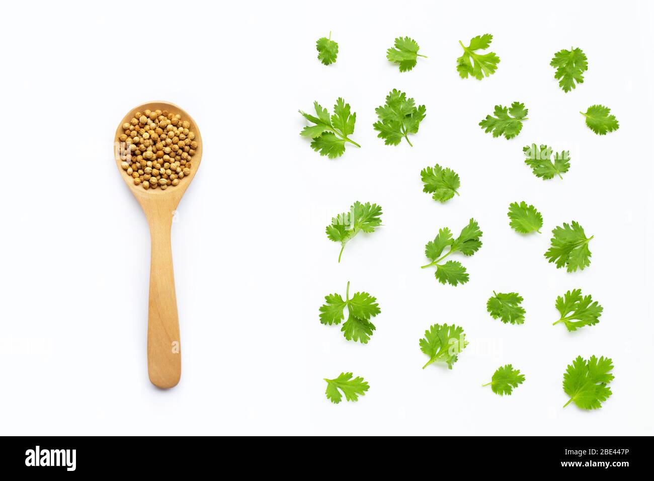 Fresh coriander leaves with seeds on white background Stock Photo - Alamy