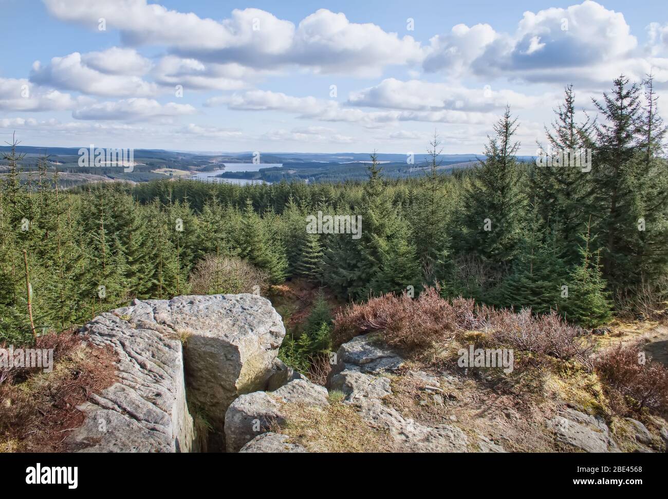 Kielder water and forest park hi-res stock photography and images - Alamy