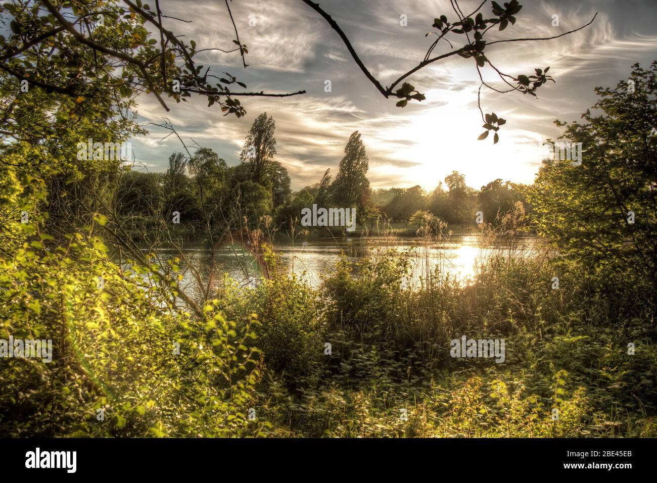 Great trees of london hi-res stock photography and images - Alamy