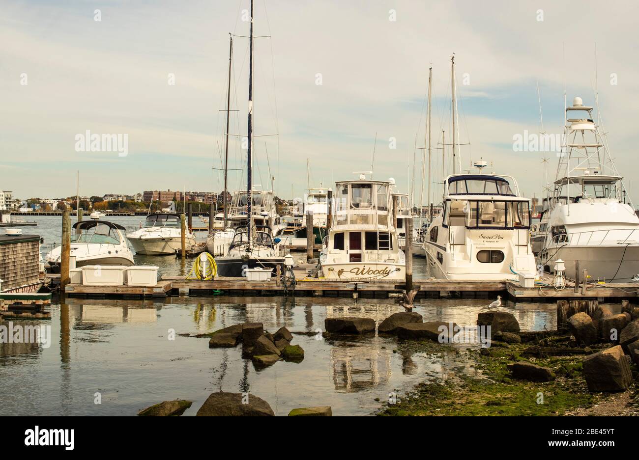 Boston boat club hi-res stock photography and images - Alamy