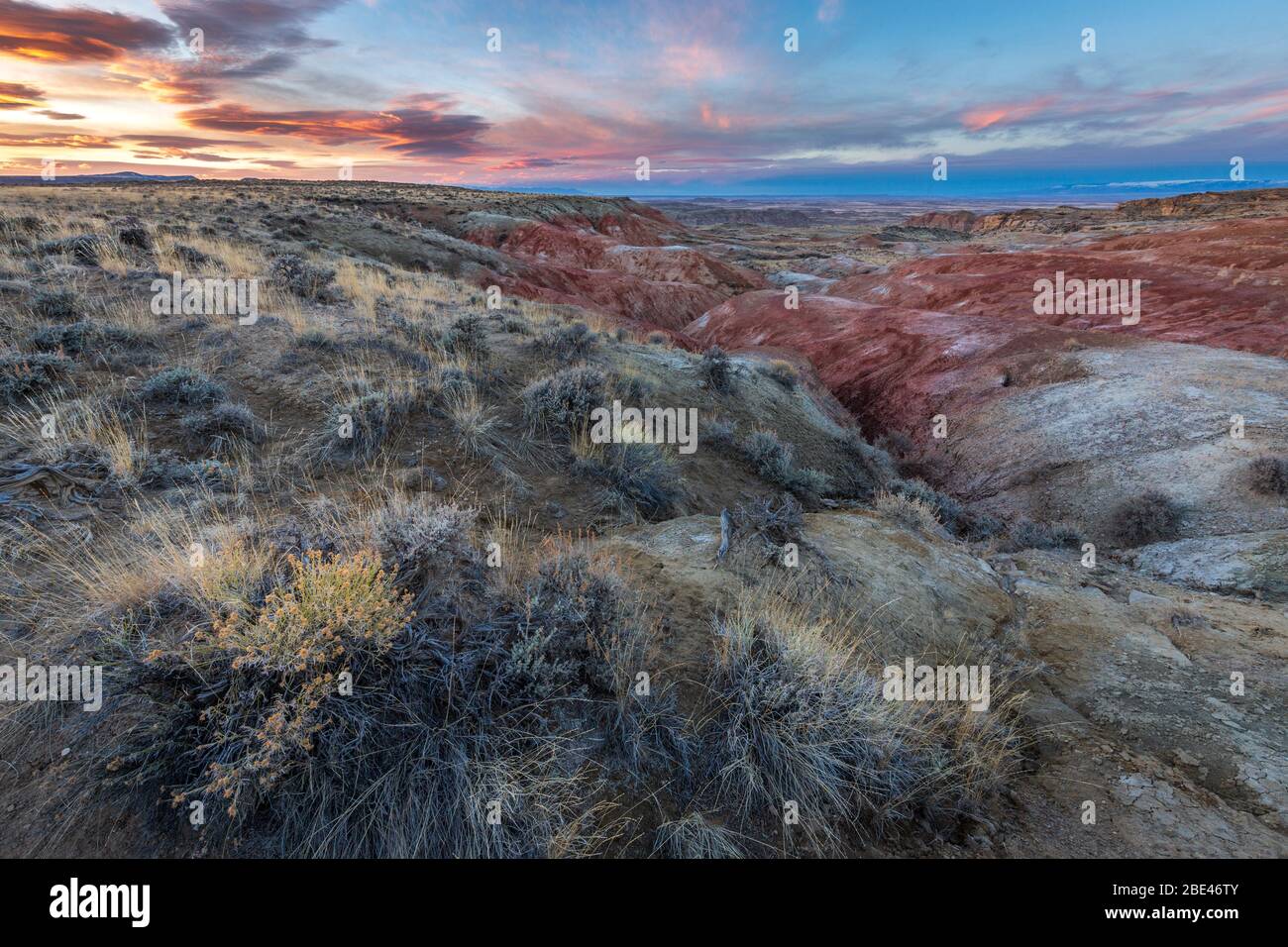 Semi arid desert sagebrush hi-res stock photography and images - Alamy