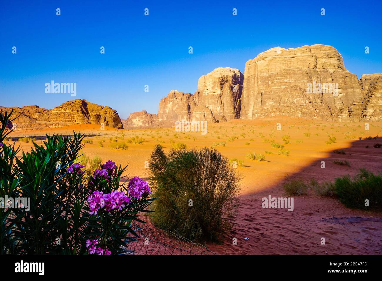 Jordan, in the Wadi Rum the spectacularly scenic desert valley Stock ...