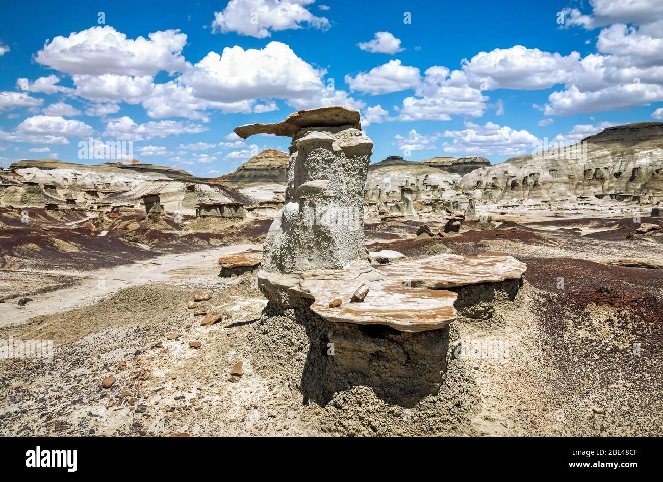 Unique rock formations, Bisti Badlands, Bisti/De-Na-Zin Wilderness, San ...