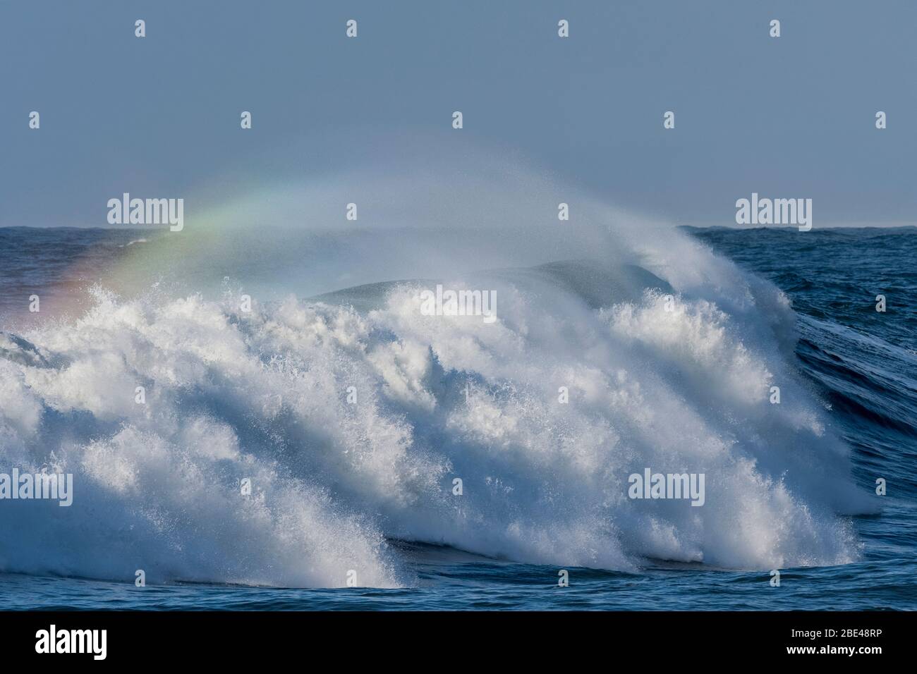 A fast-moving wave carries a spray bow halo on the Oregon Coast ...