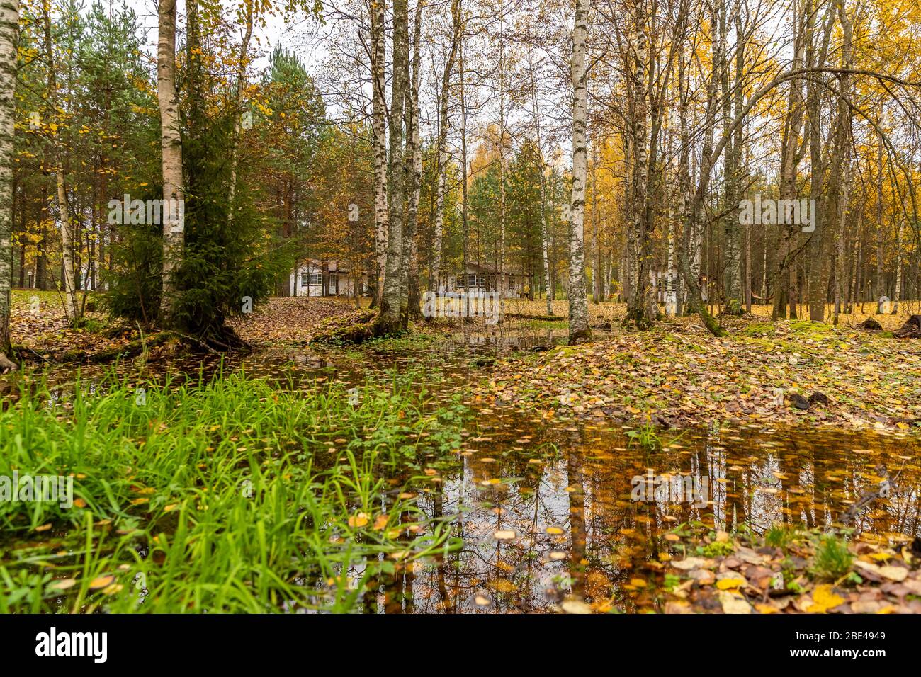 Forest lodge in backwoods, wild area in beautiful forest in Autumn ...