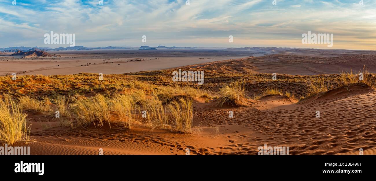 Elim dune, Namib Desert; Sesriem, Namibia Stock Photo - Alamy