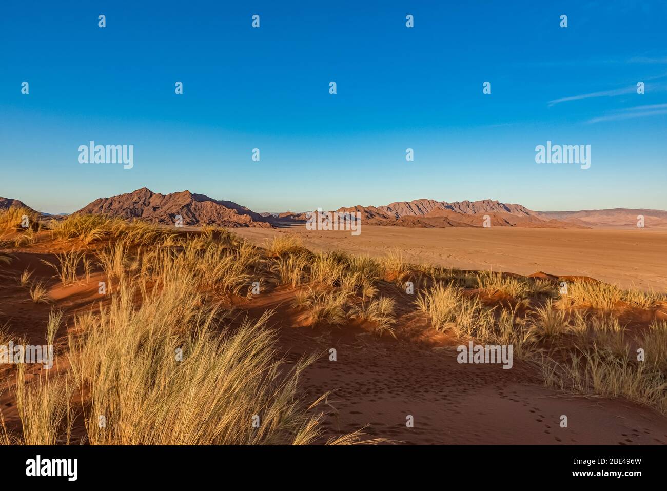 Elim dune, Namib Desert; Sesriem, Namibia Stock Photo - Alamy