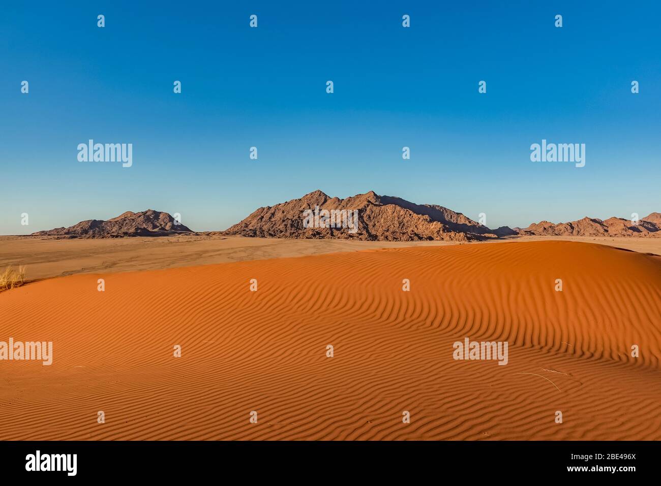 Elim dune, Namib Desert; Sesriem, Namibia Stock Photo - Alamy
