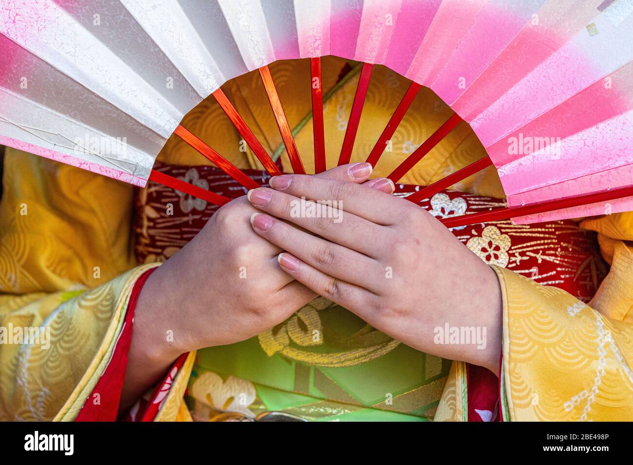 Portraits of a Maiko in Kyoto, Japan Stock Photo - Alamy