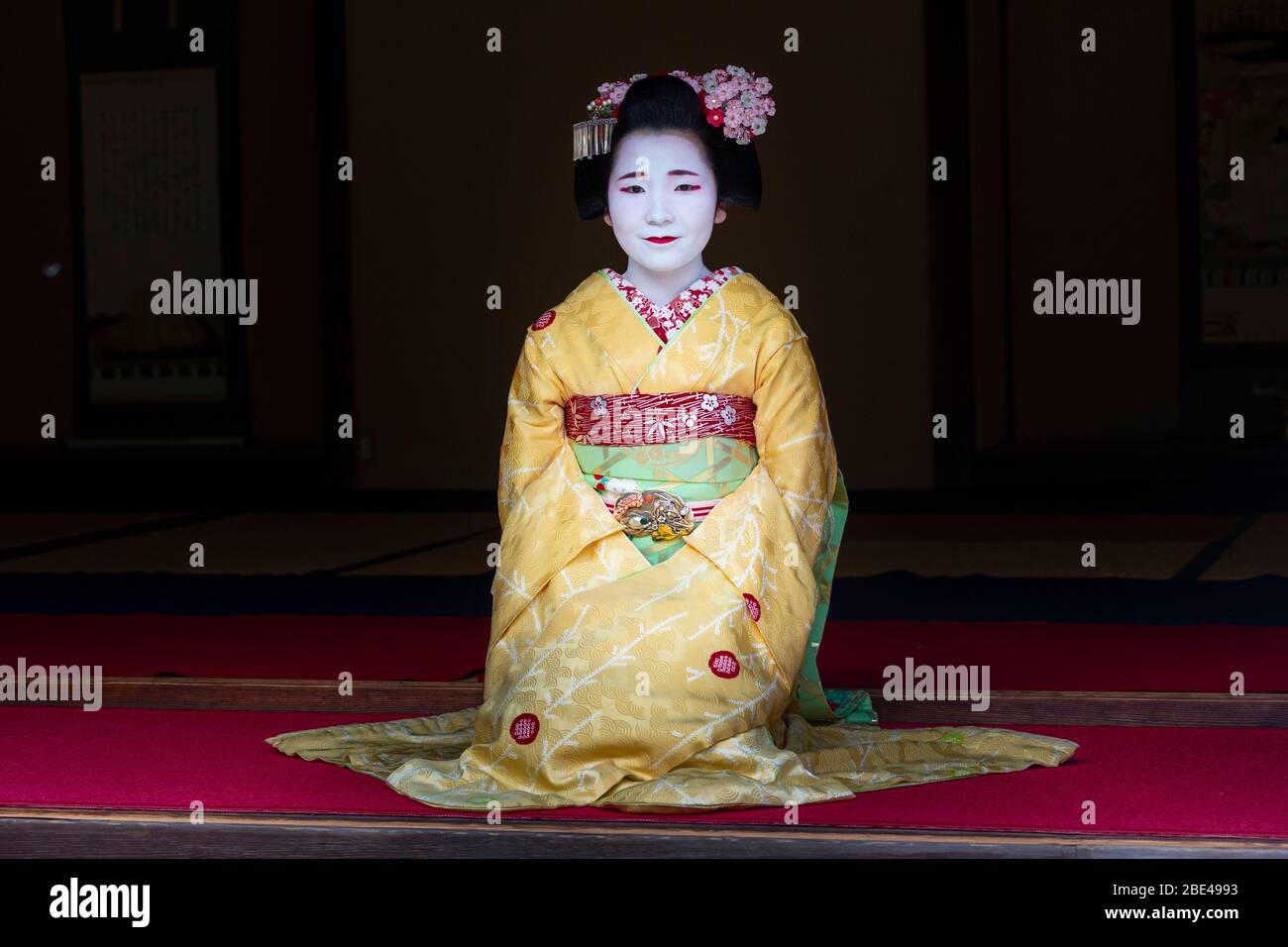Portraits of a Maiko in Kyoto, Japan Stock Photo - Alamy