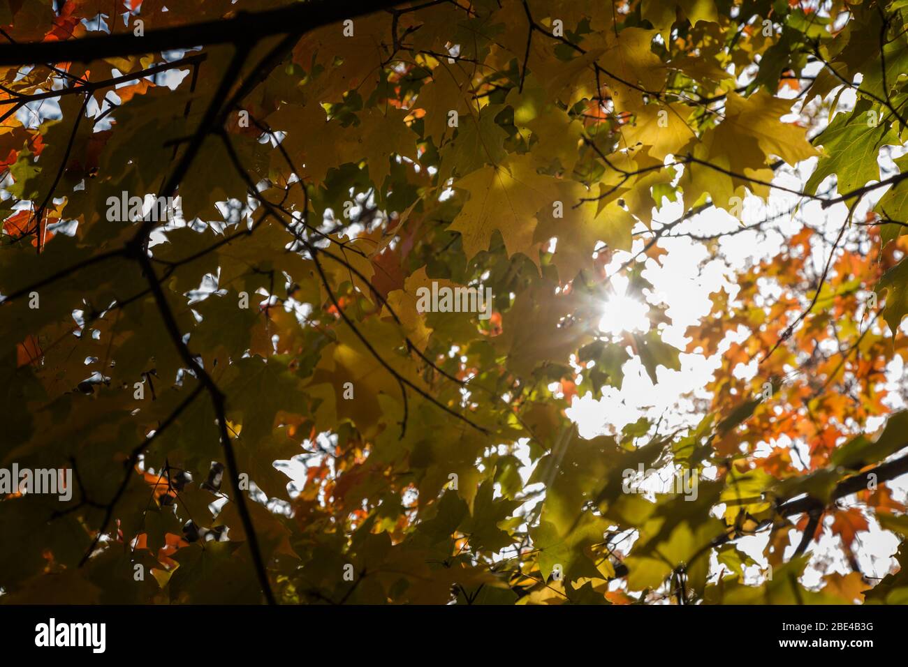 An Afternoon of Autumn in Watertown Massachusetts Stock Photo - Alamy