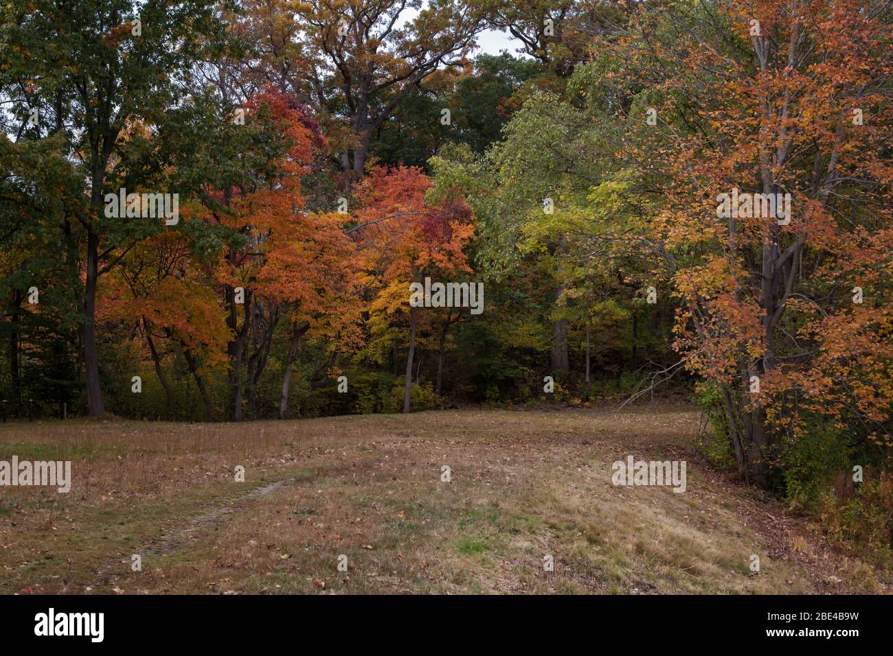 Autumn Landscapes in Massachusetts Stock Photo - Alamy
