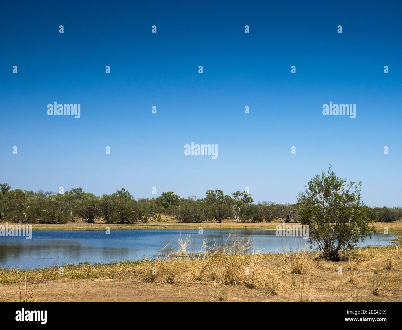 Billabong waterhole landscape hi-res stock photography and images - Alamy