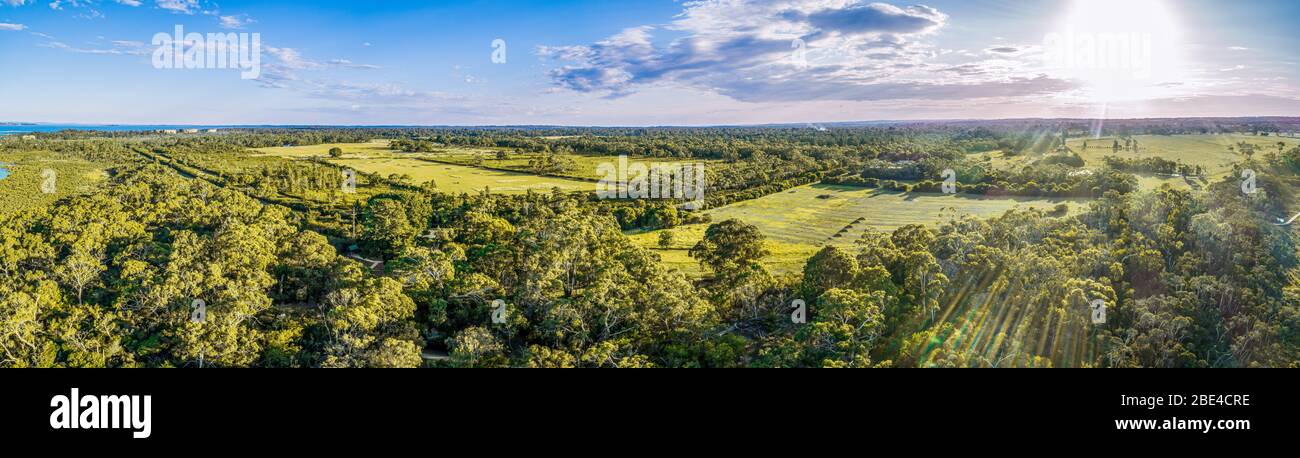 Scenic landscape of agricultural land and native trees on Mornington ...