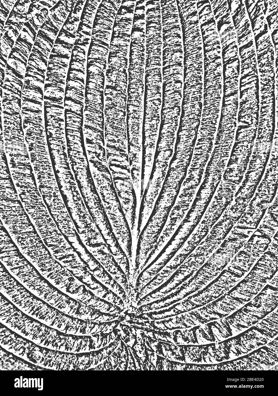 Distress tree leaves, leaflet texture. Black and white grunge ...