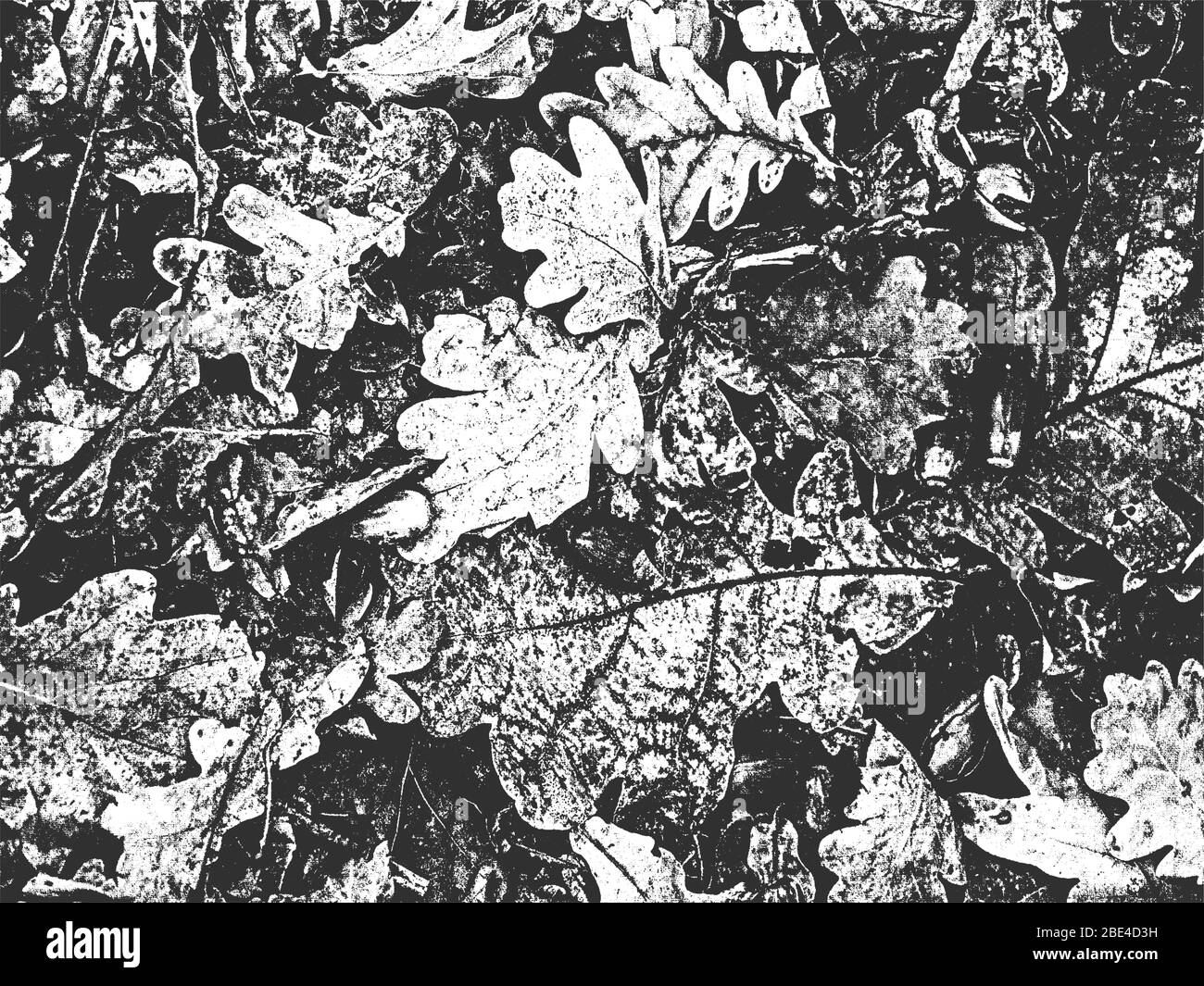 Distress tree leaves, leaflet texture. Black and white grunge ...