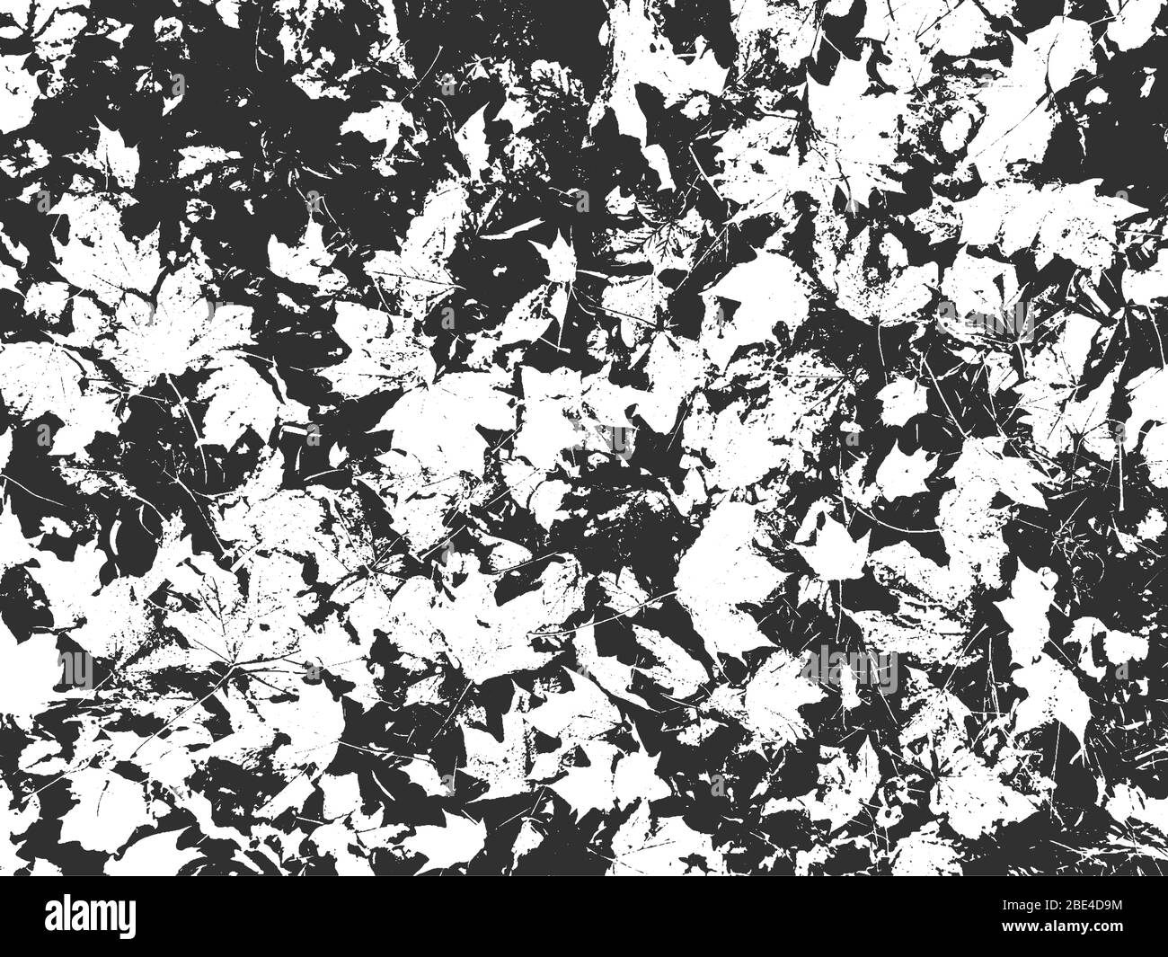 Distress tree leaves, leaflet texture. Black and white grunge ...