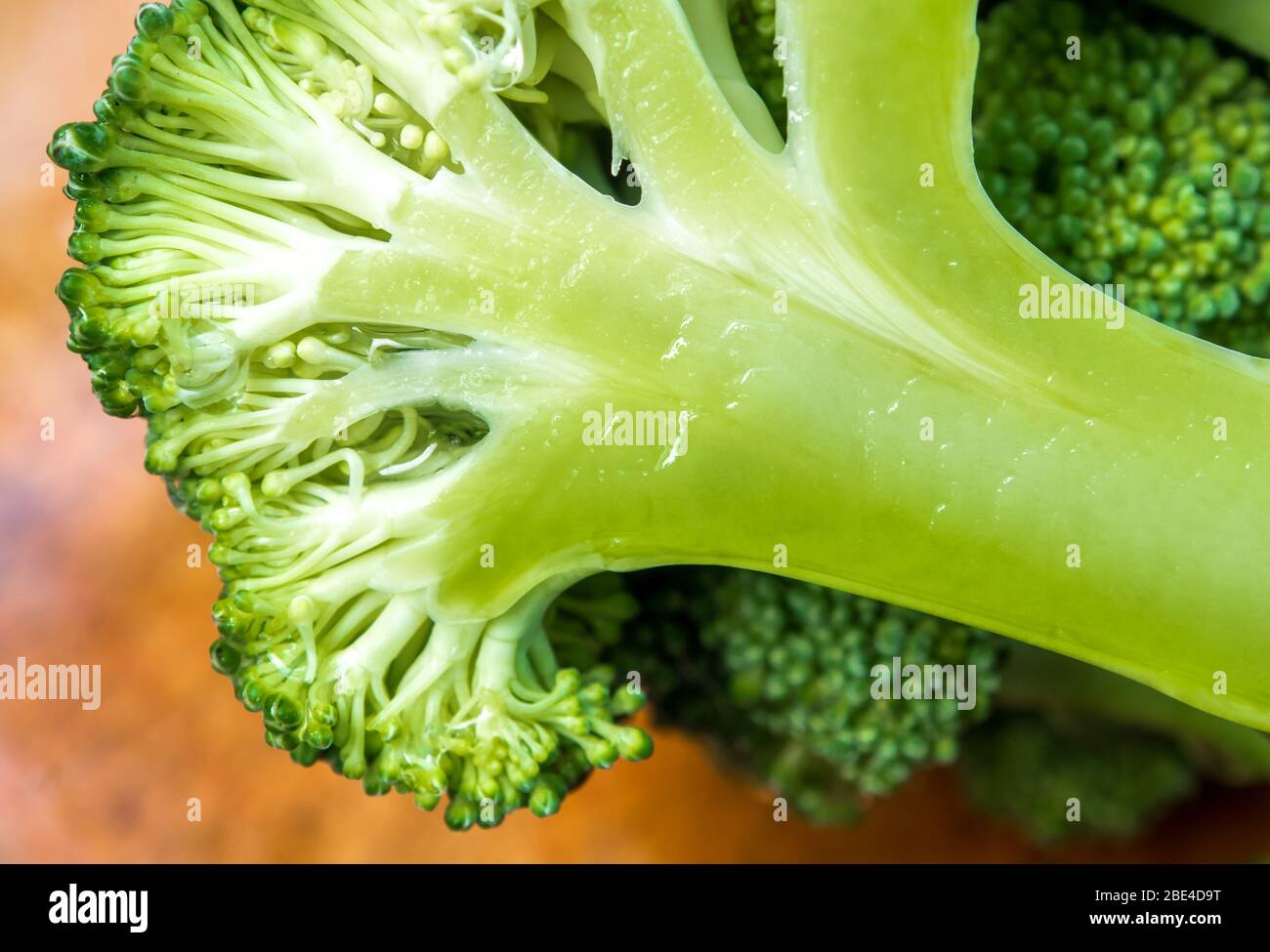 Close up to surface texture of succulent fresh inside the Broccoli ...