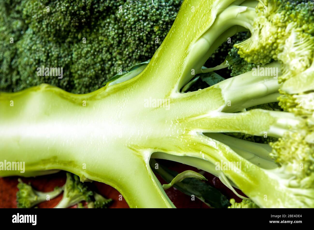 Close up to surface texture of succulent fresh inside the Broccoli ...