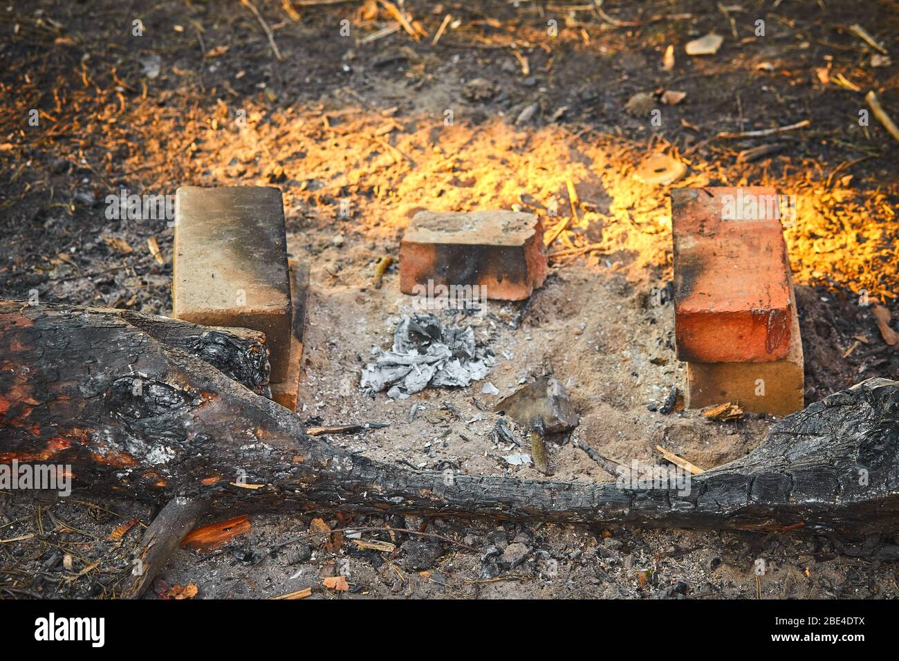 Wood ash closeup after burning wood. Extinguished bonfire Stock Photo ...