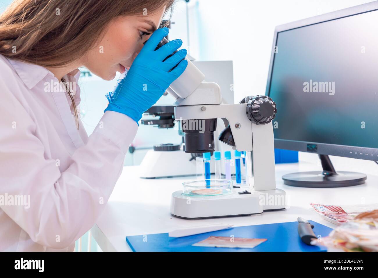 Inspection of meat and fish quality in the food quality laboratory ...