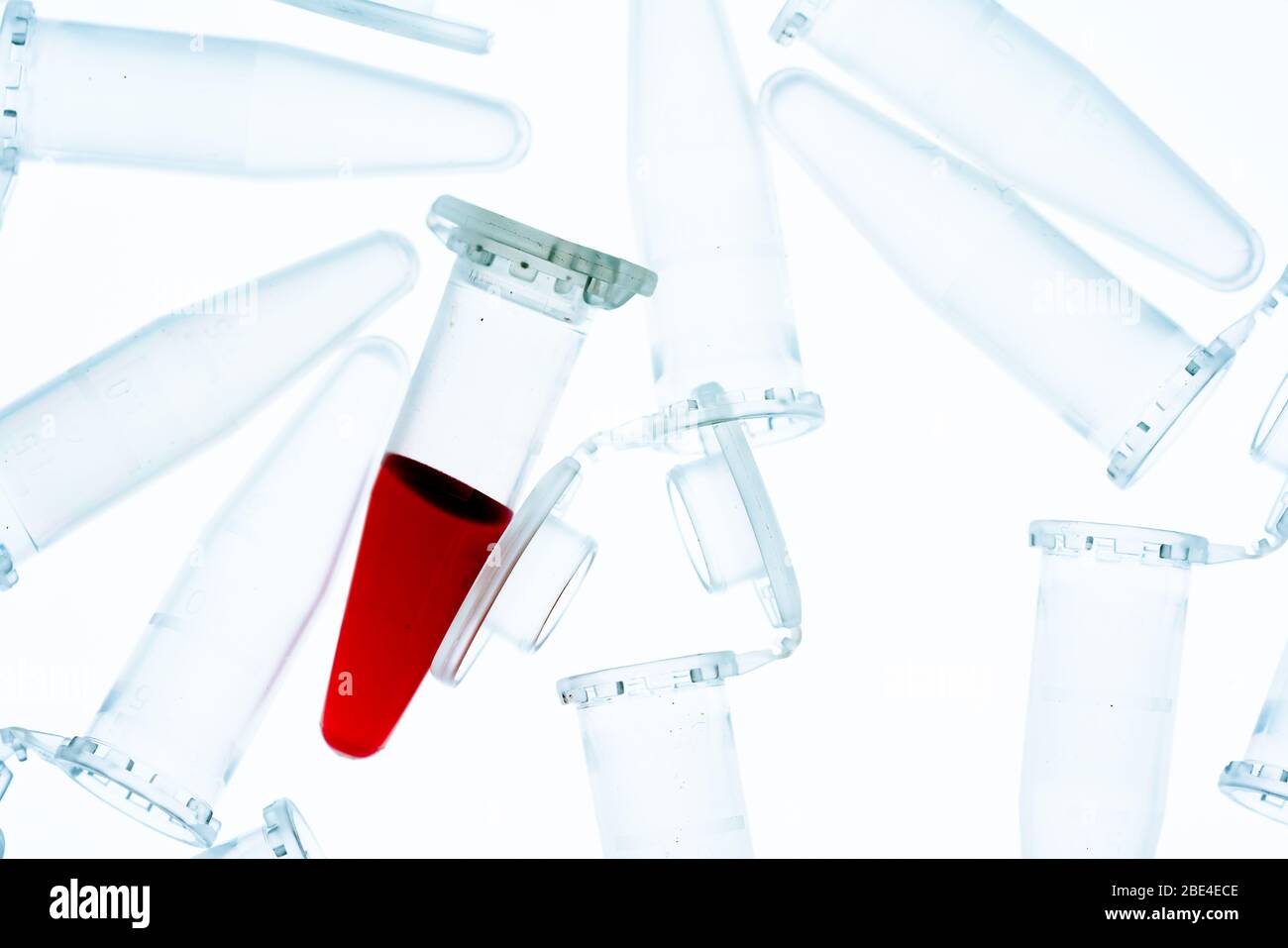 PCR microtube on a white background, PCR test tube on a white ...