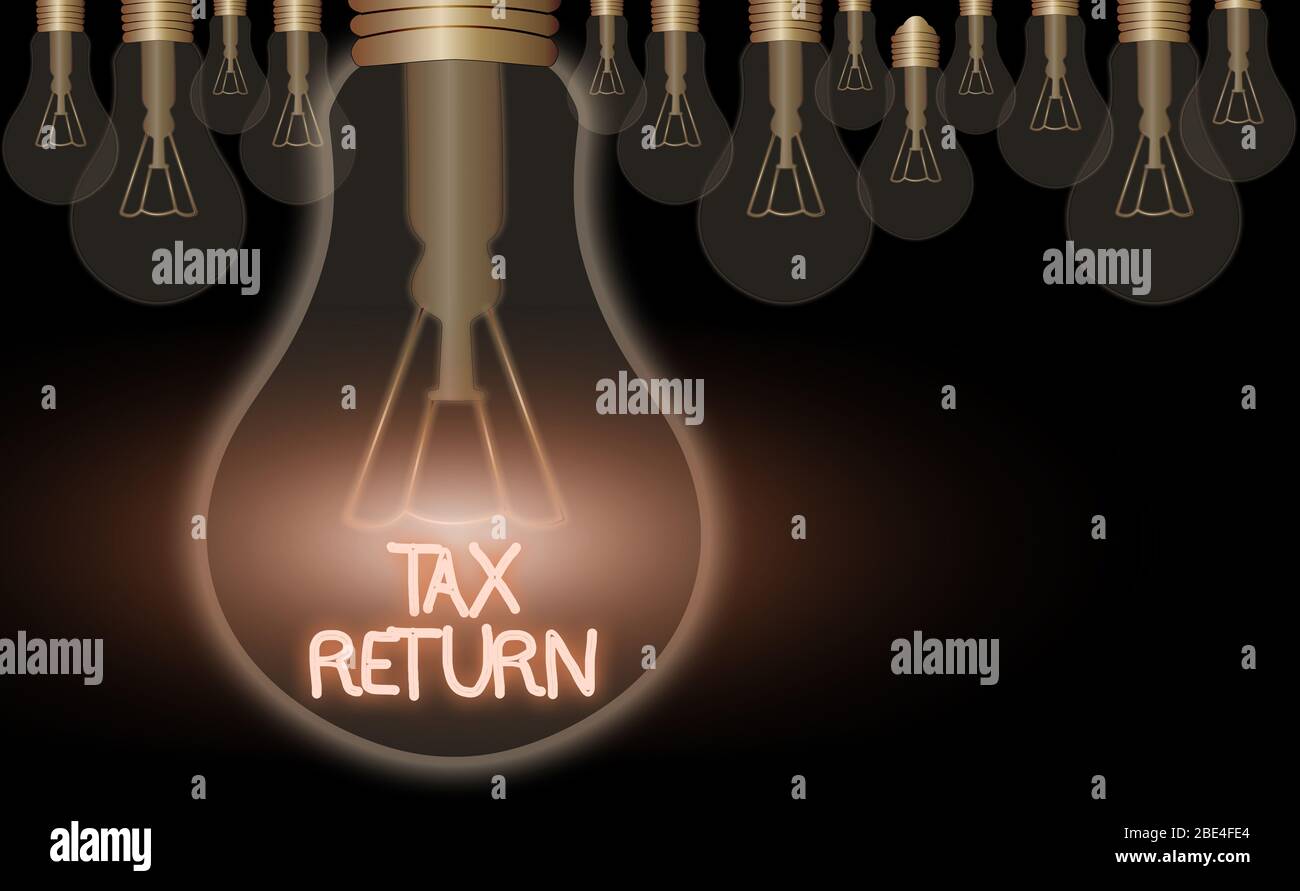 Text sign showing Tax Return. Business photo text Tax payer financial ...