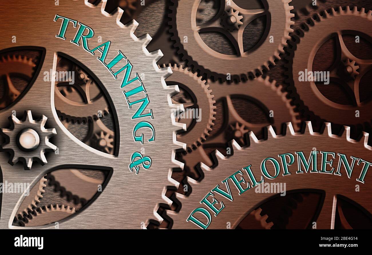 Word writing text Training And Development. Business photo showcasing learn specific knowledge ...