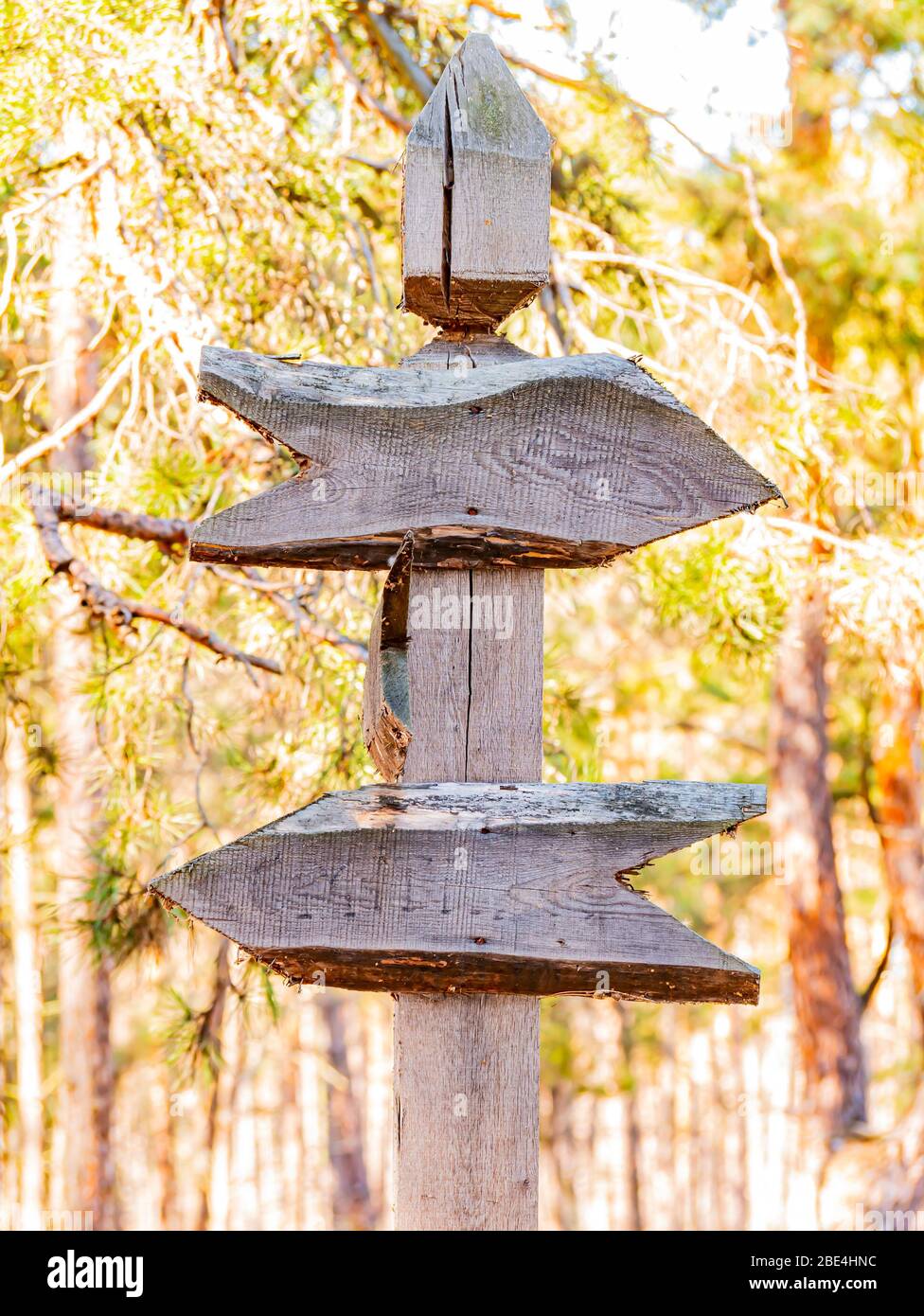 Sign wooden arrows pointers in the forest Stock Photo - Alamy