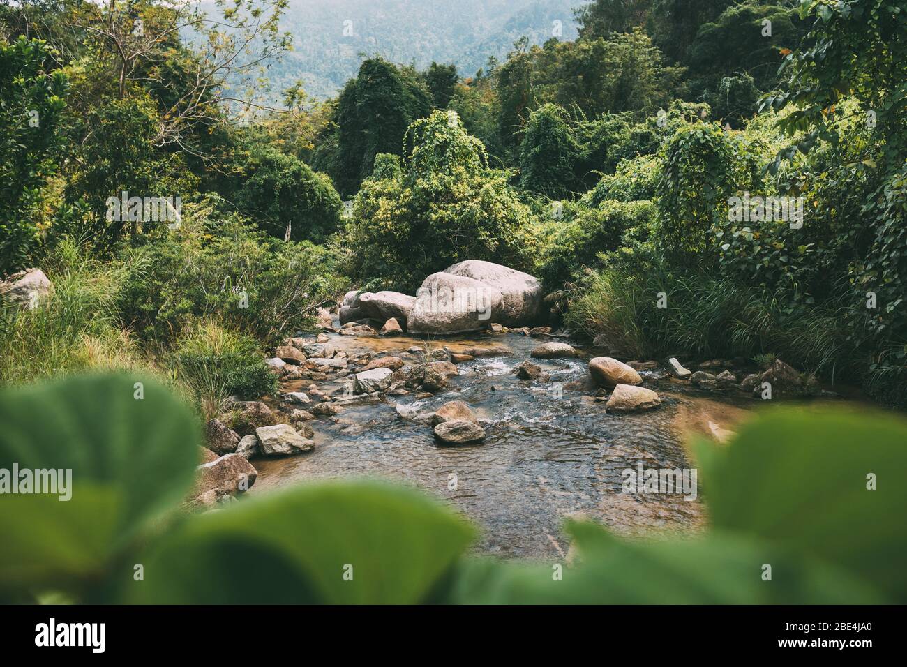Clean river hi-res stock photography and images - Alamy
