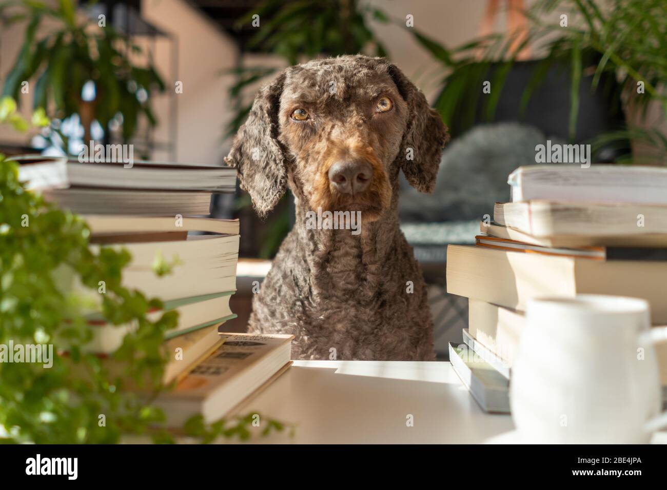 Inside detail pile hi-res stock photography and images - Alamy