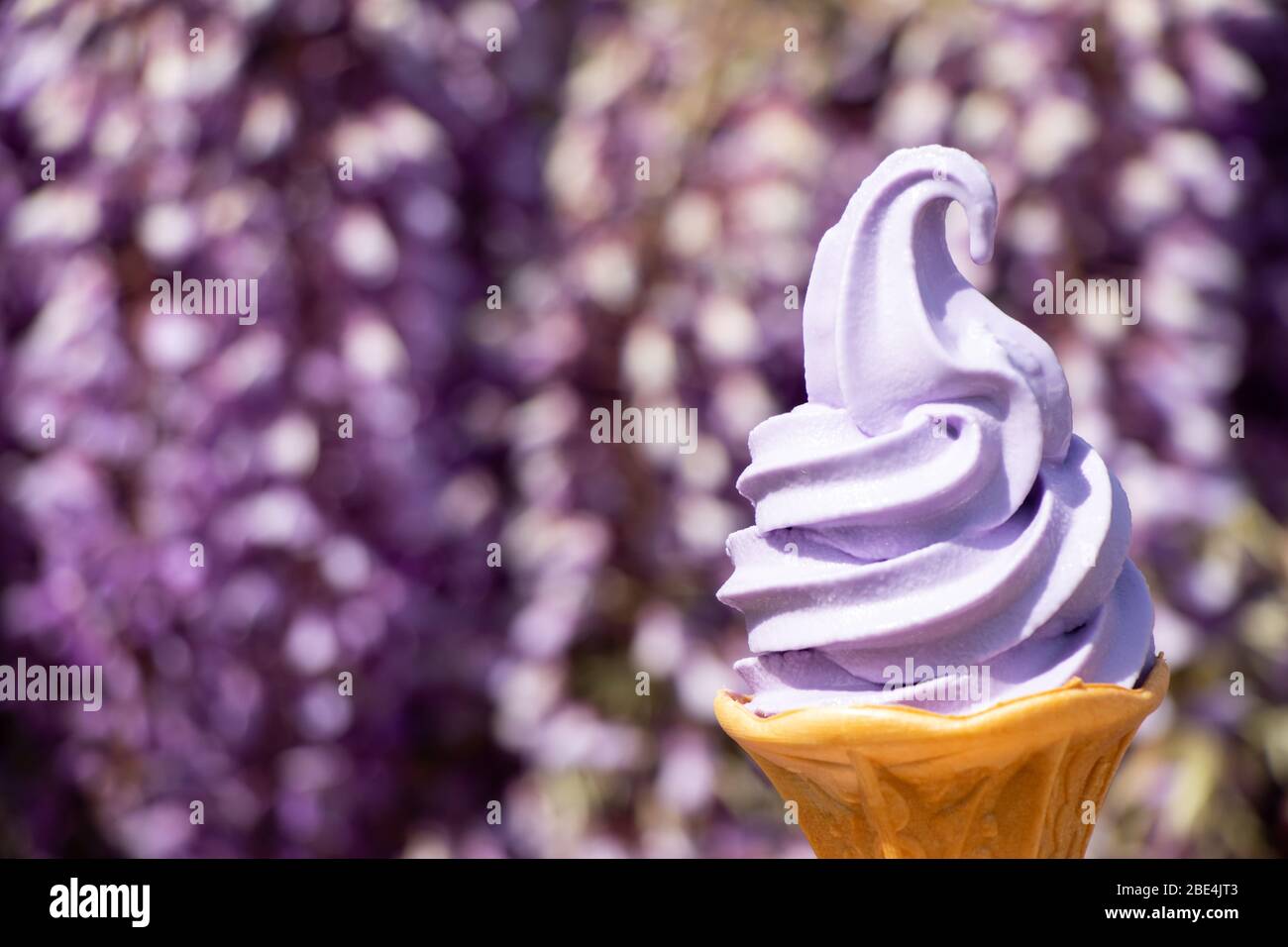 Violet ice cream with blurred fuji wisteria flower background Stock ...