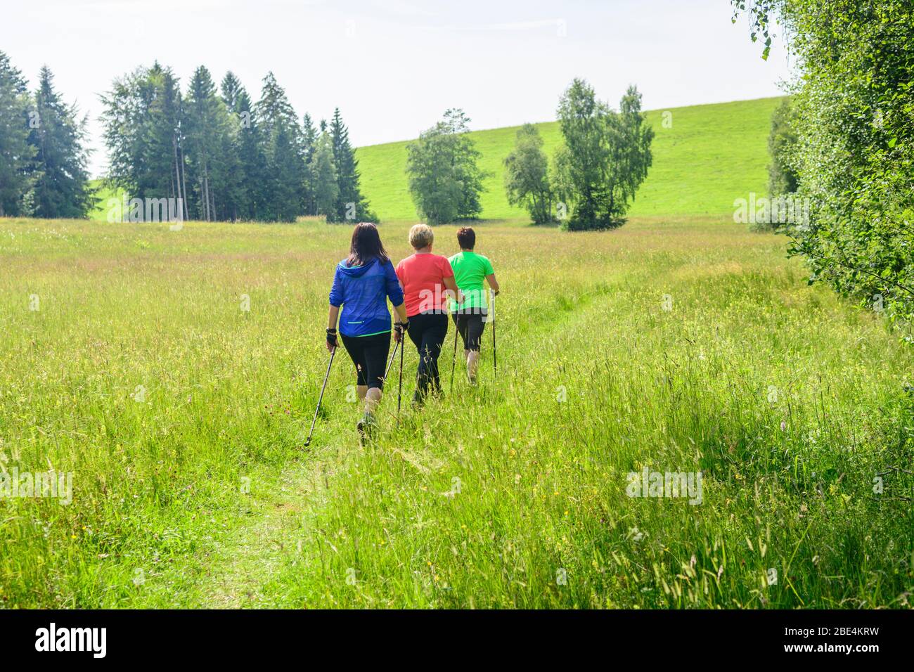 Fitness workout in green nature with nordic walking exercises Stock ...