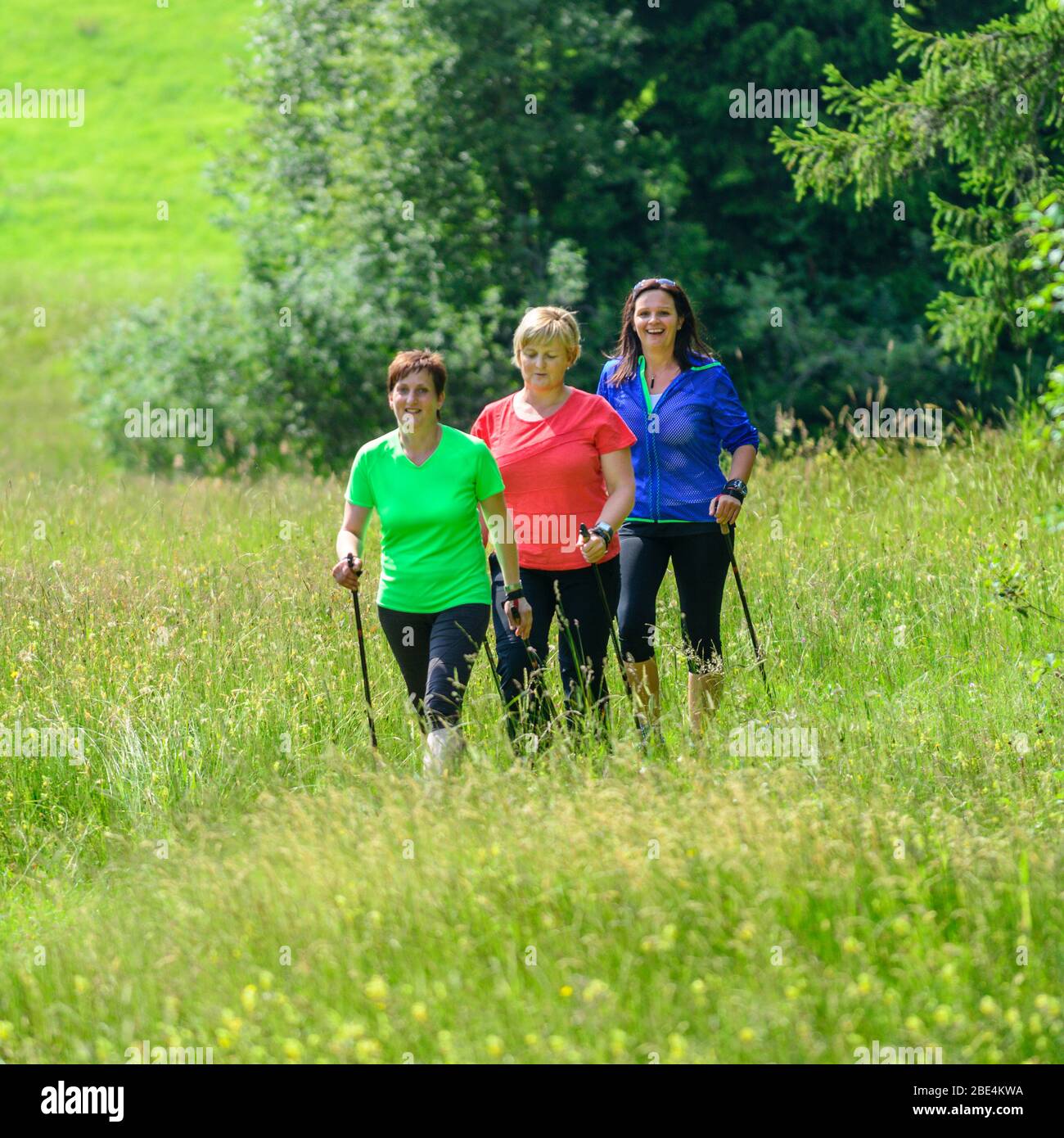 Fitness workout in green nature with nordic walking exercises Stock ...