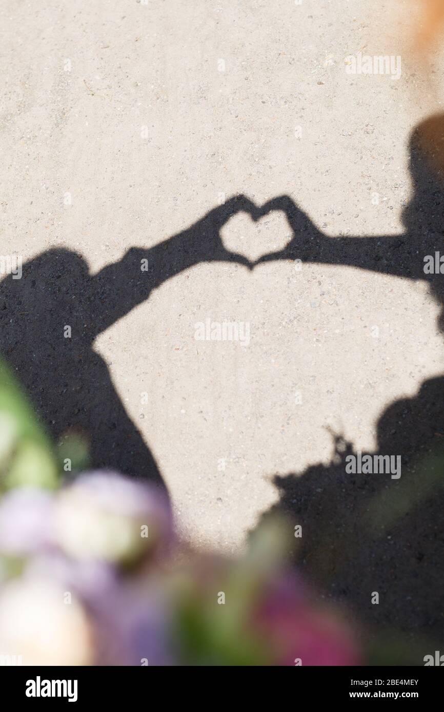 Shadow heart made on the asphalt from the hands Stock Photo - Alamy