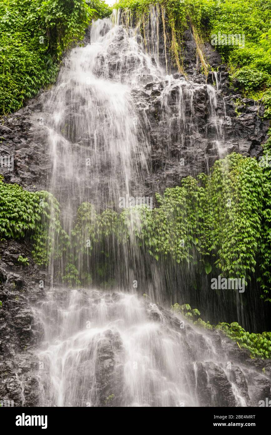 Wanagiri bali hi-res stock photography and images - Alamy