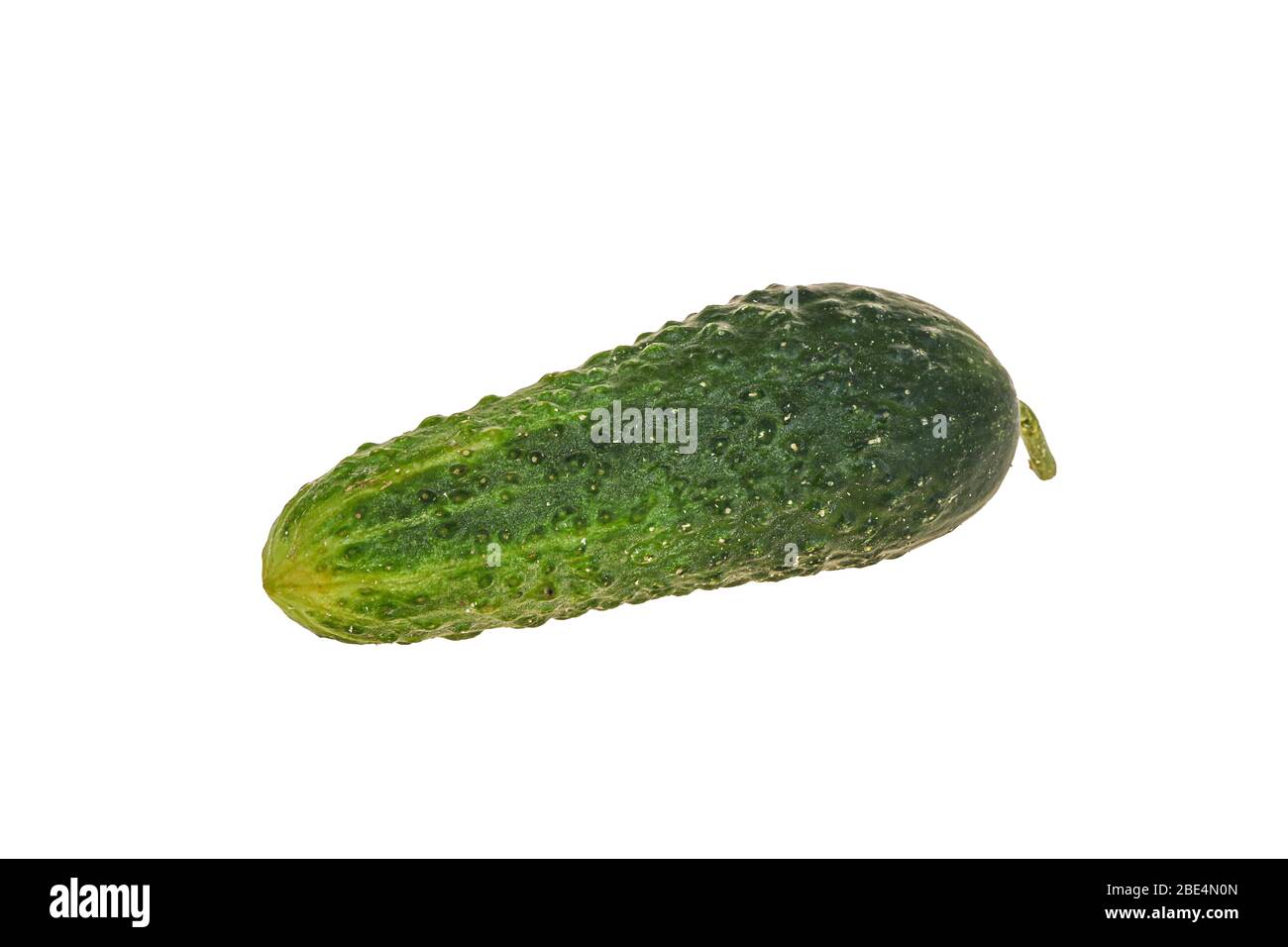Green ripe fresh one cucumber over background Stock Photo - Alamy