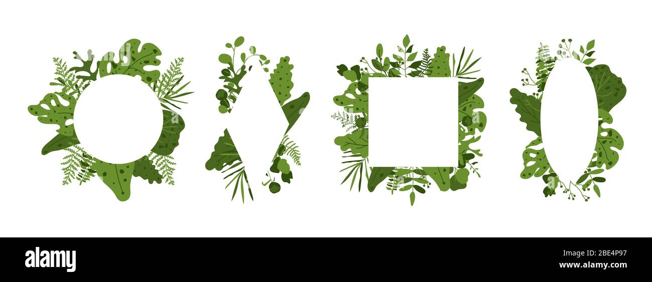 Set of decorative composition of tropical colorful leaves. Blank text ...