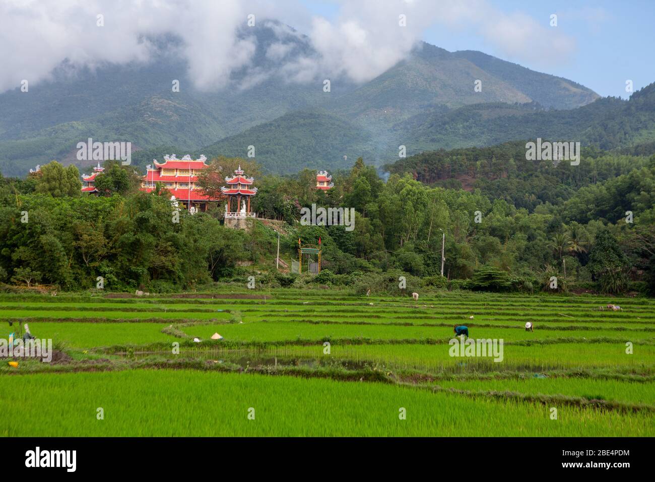 Rice paddies hi-res stock photography and images - Alamy