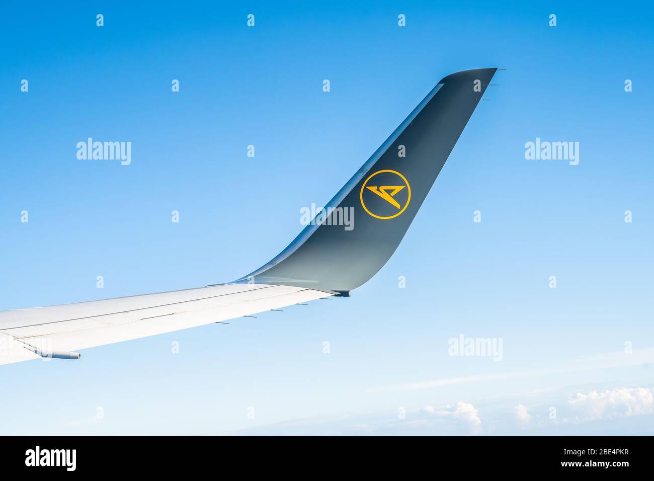 Frankfurt Germany 18.11.19 Condor Air wing of airplane in the sky ...