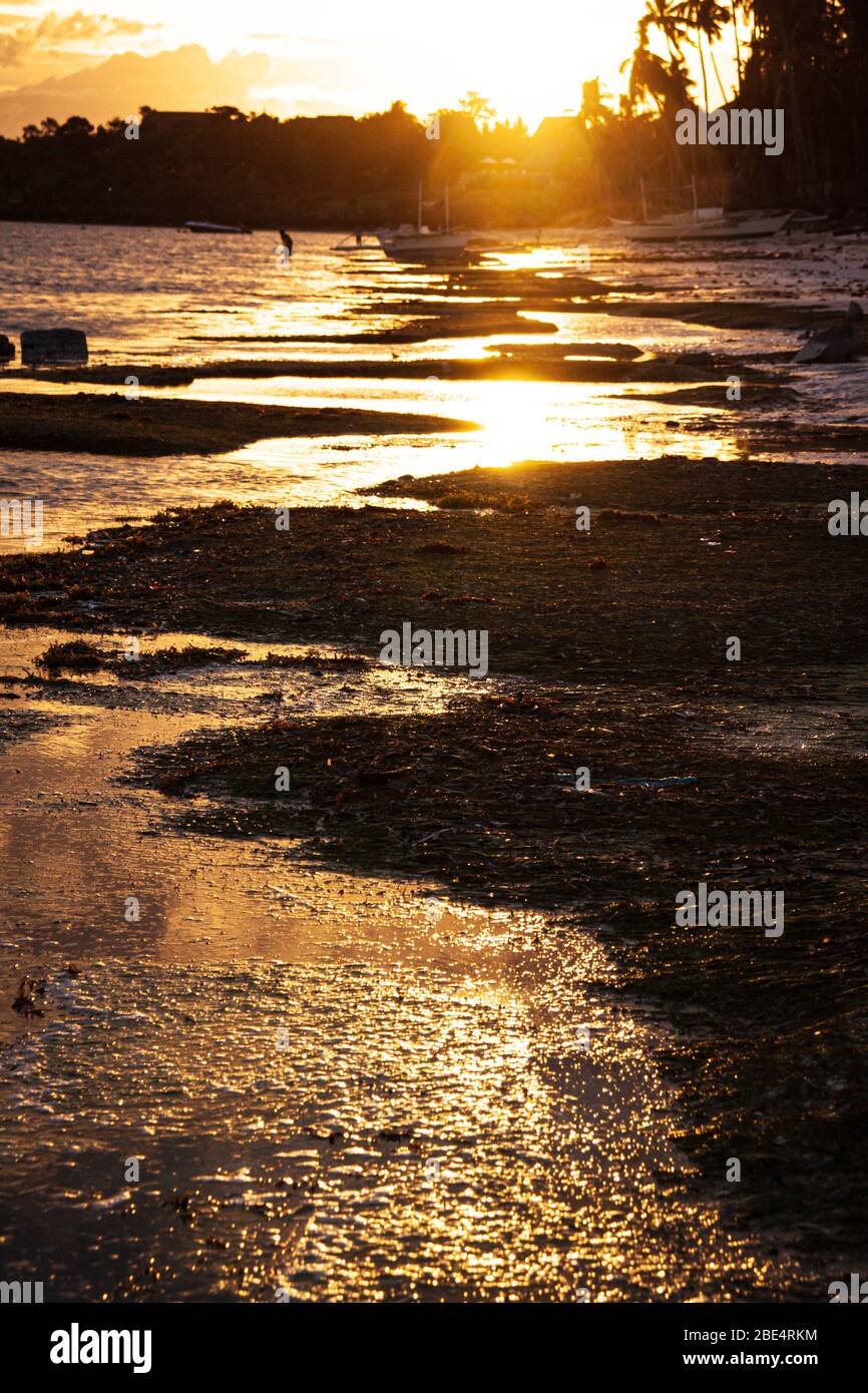 Beautiful sunset at a beach in Bohol Island, Phillippines Stock Photo ...