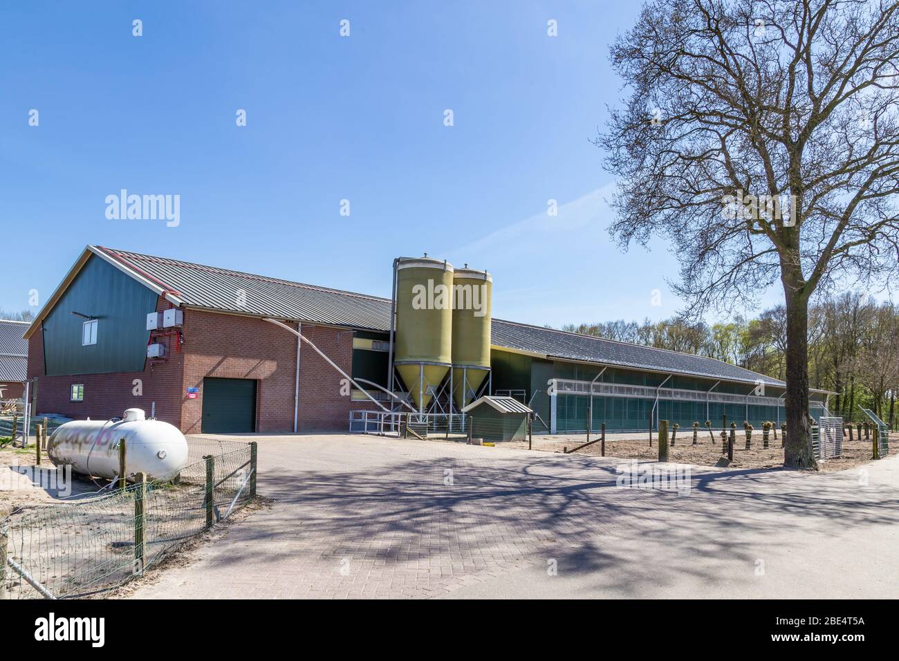 Large chicken farm with indoor facilites for poulry breeding and egg ...