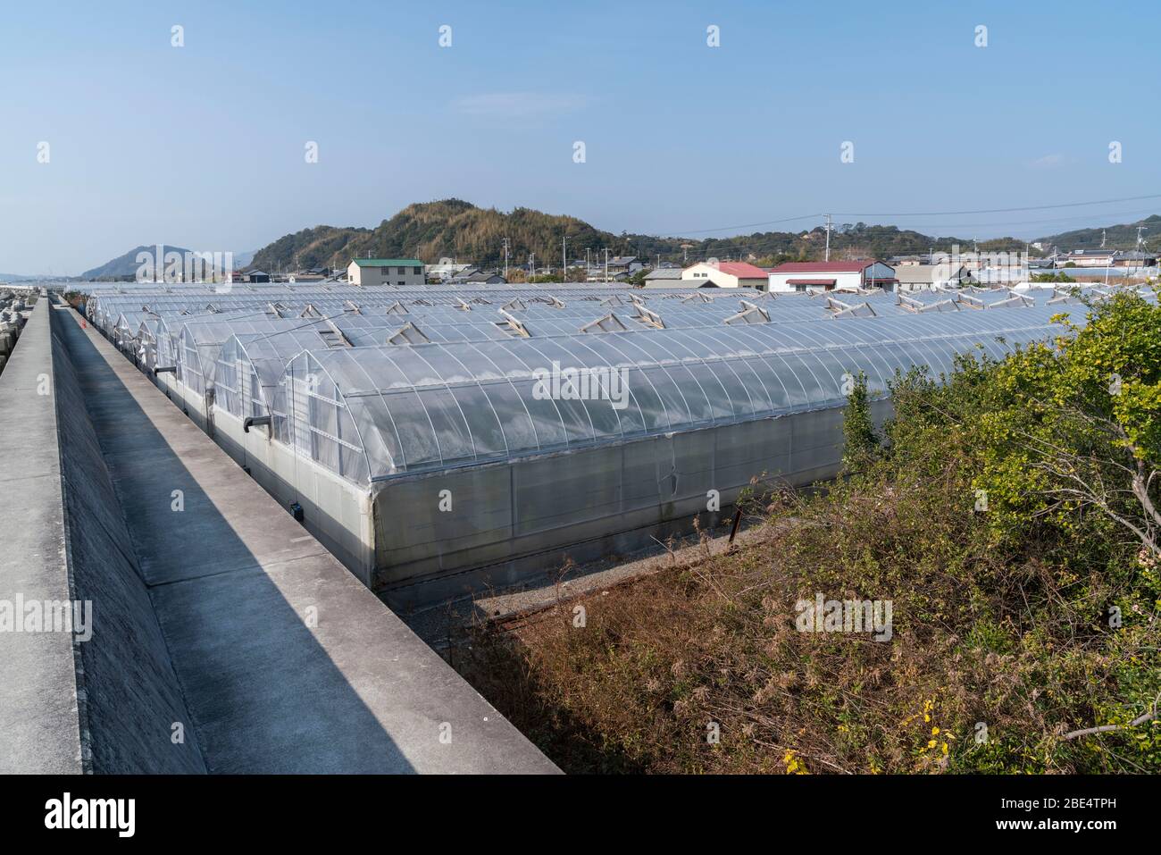 Greenhouses, Nankoku City, Kochi Prefecture, Japan Stock Photo - Alamy