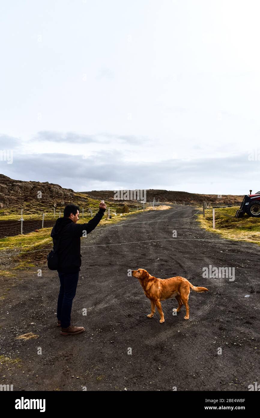 Fetch bucket hi-res stock photography and images - Alamy