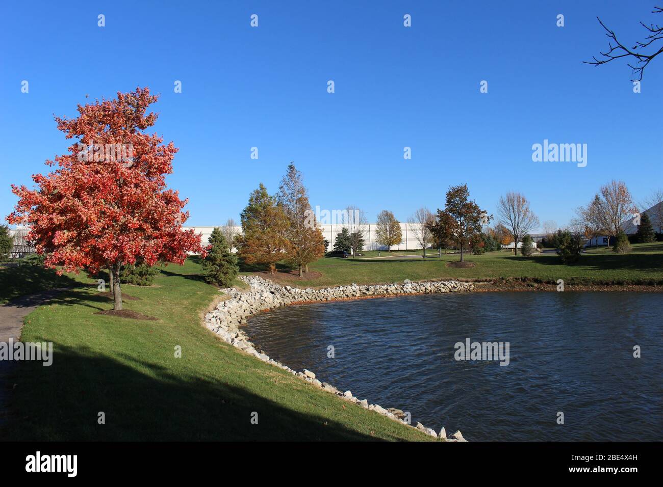 Groveport Ohio streets with colorful trees, family of geese on a pond ...