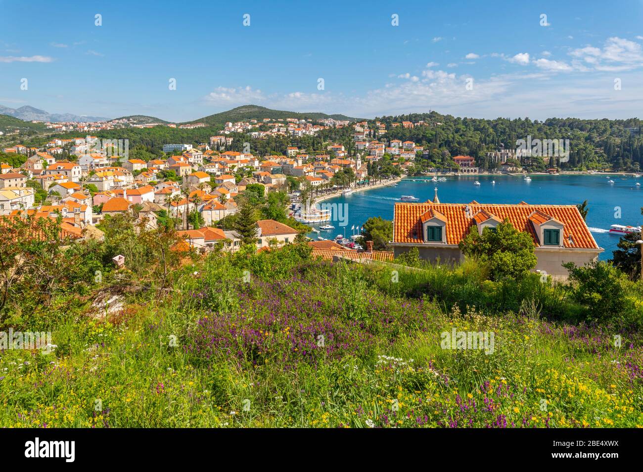 Elevated view of town and harbour, Cavtat on the Adriatic Sea, Cavtat ...