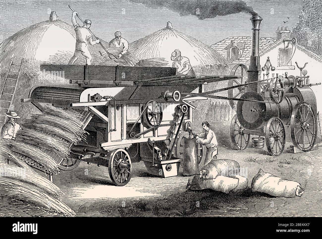 A steam-driven threshing machine, 19th century Stock Photo - Alamy