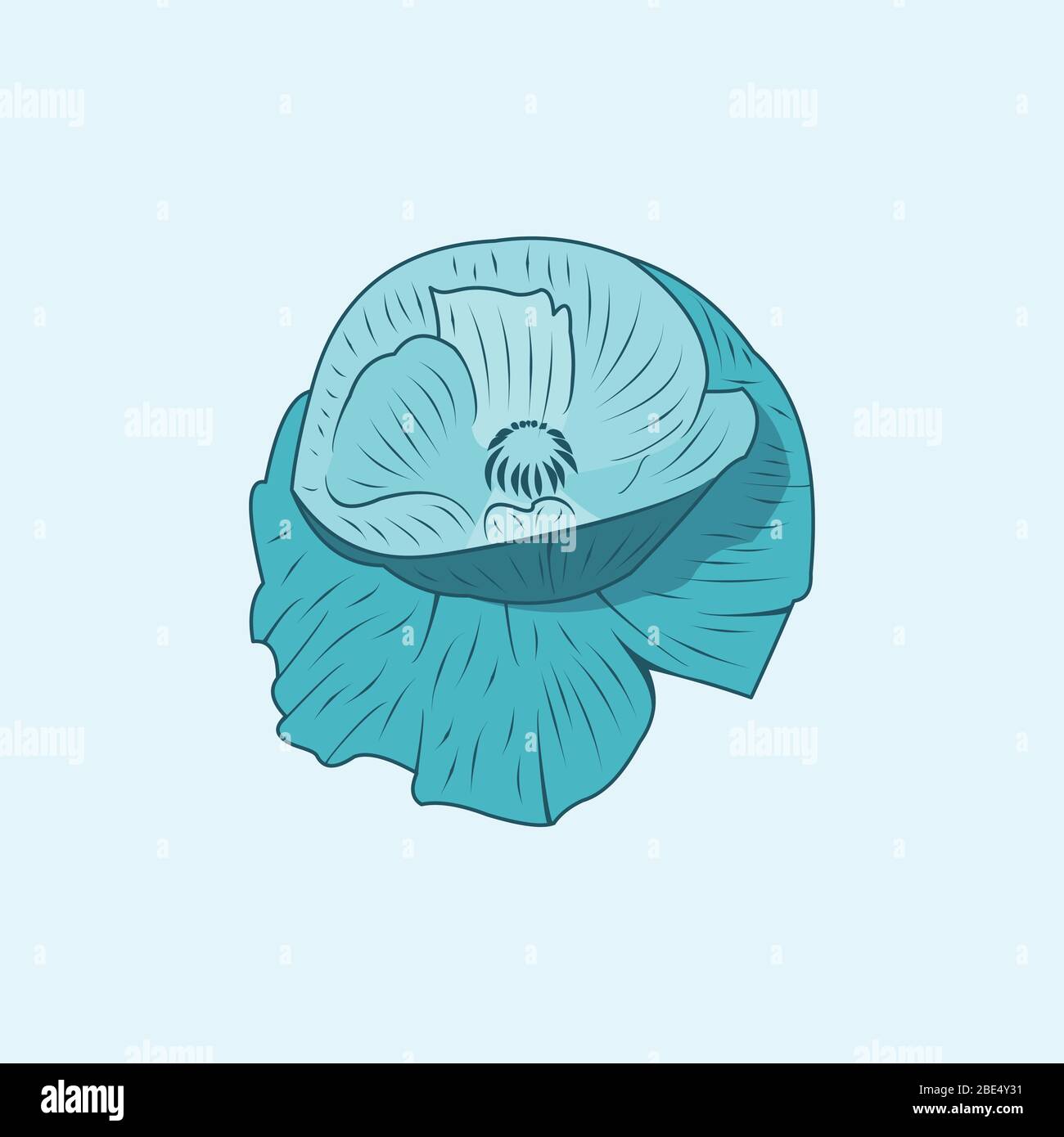 Lily Flower Logo Icon, vector illustration Stock Vector Image & Art - Alamy