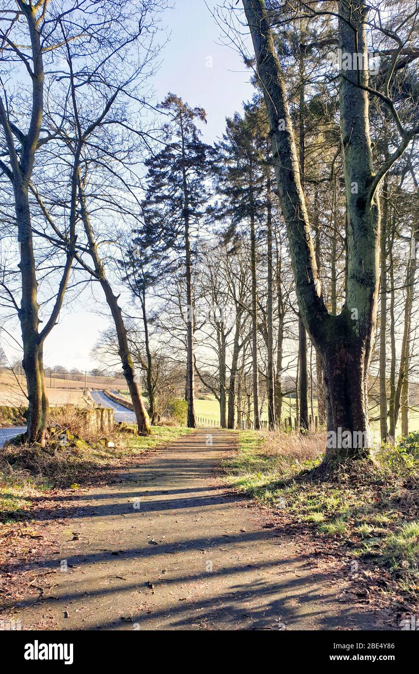 Fife Coastal Path from Kincardine to Rosyth - Scotland - UK Stock Photo ...